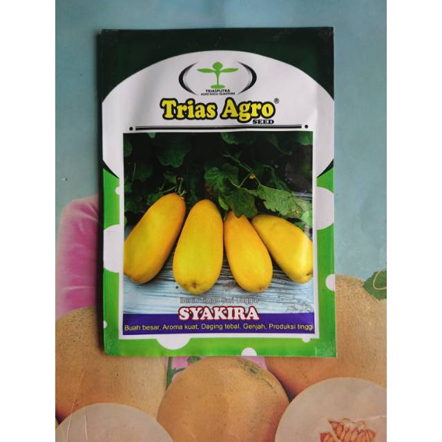 Jual Benih timun suri madu Syakira isi 10gr | Shopee Indonesia