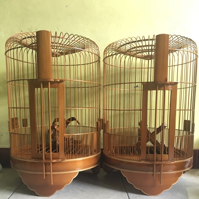 Jual Sangkar Burung Wambi dan anis | Shopee Indonesia