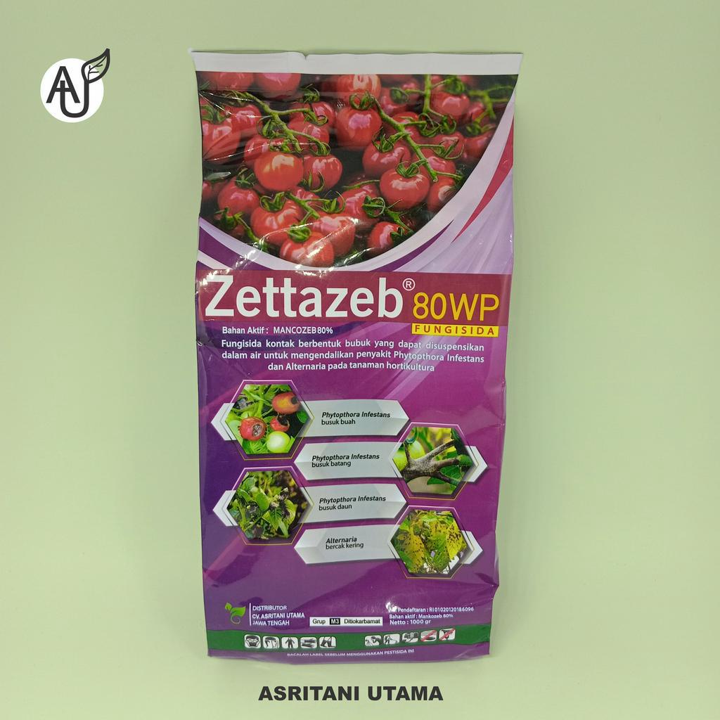 Jual FUNGISIDA ZETTAZEB 80WP 1 KG PEMBASMI JAMUR PATEK | Shopee Indonesia