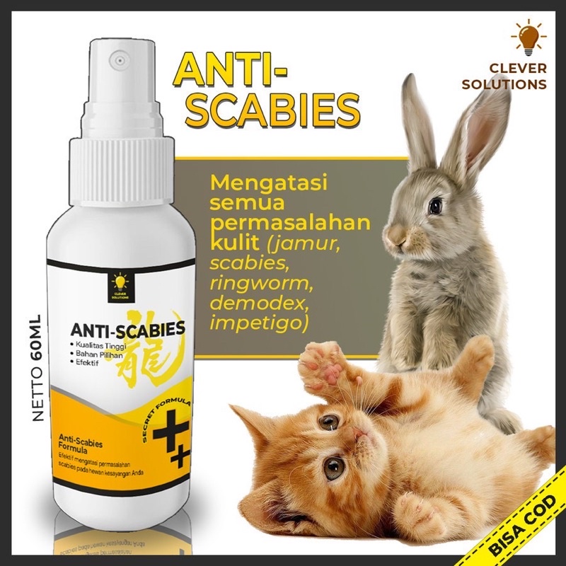 Jual Anti scabies clever solutions 60ml - obat sakit kulit kucing kudis ...