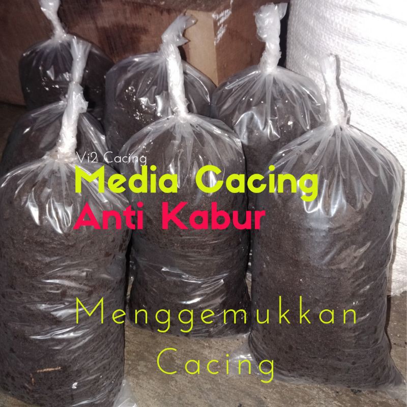 Jual Tanah Media Pakan Cacing Hidup 1kg | Shopee Indonesia