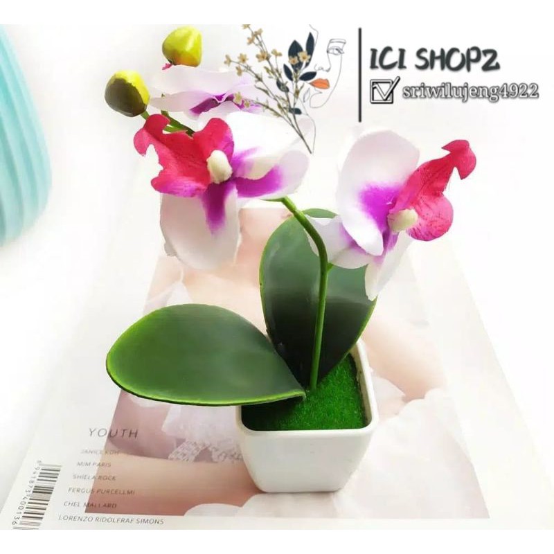 Jual BUNGA ANGGREK + VAS MINI / BUNGA PLASTIK | Shopee Indonesia