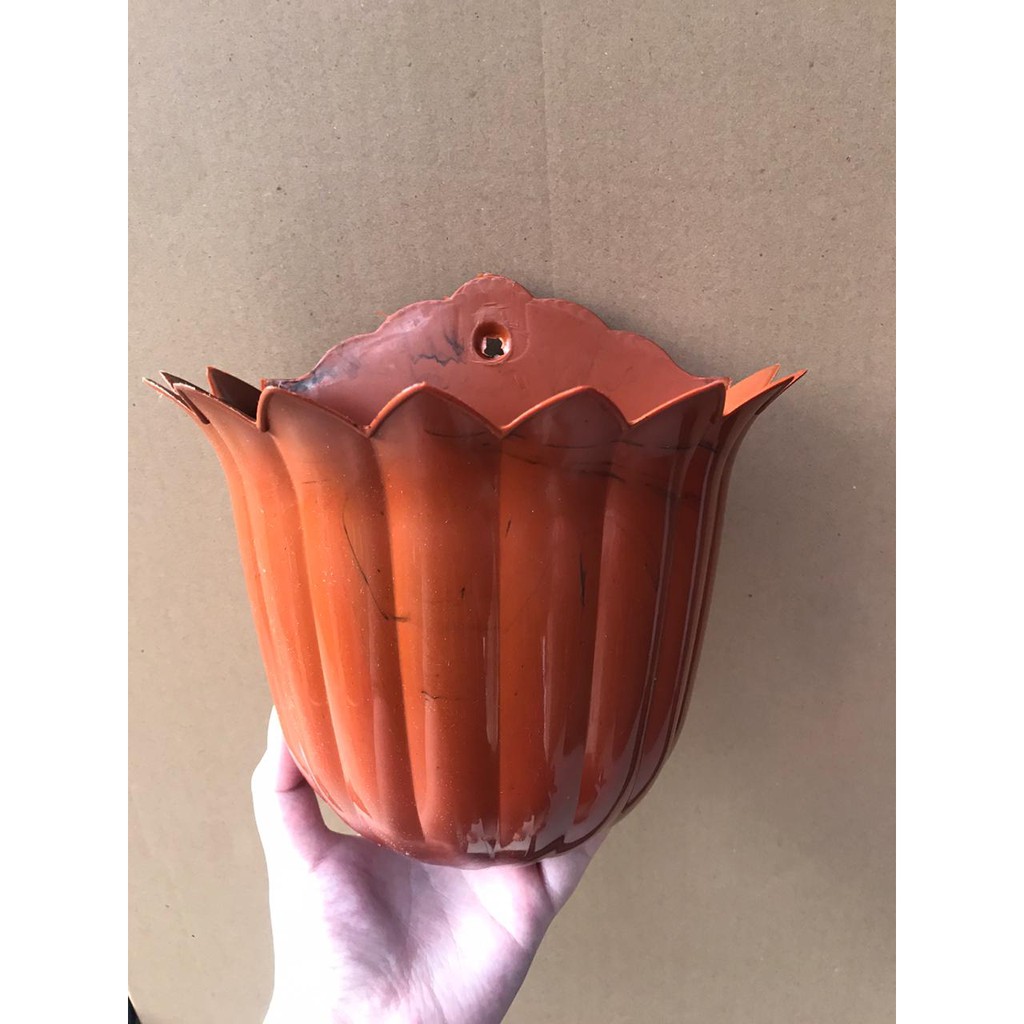 Jual Pot Tembok 25 (D=22cm) CACAT WARNA Tanaman Hias Dinding Tempel ...