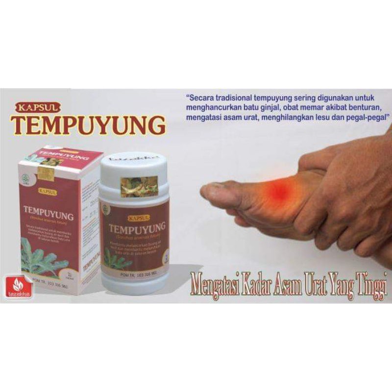 Jual KAPSUL EKSTRAK TEMPUYUNG TAZAKKA ORIGINAL | Shopee Indonesia