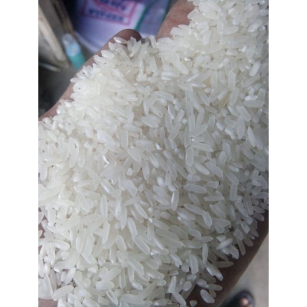 Jual Beras 10Kg Harga Terlengkap & Harga Terbaru Juni 2026 | Shopee ...