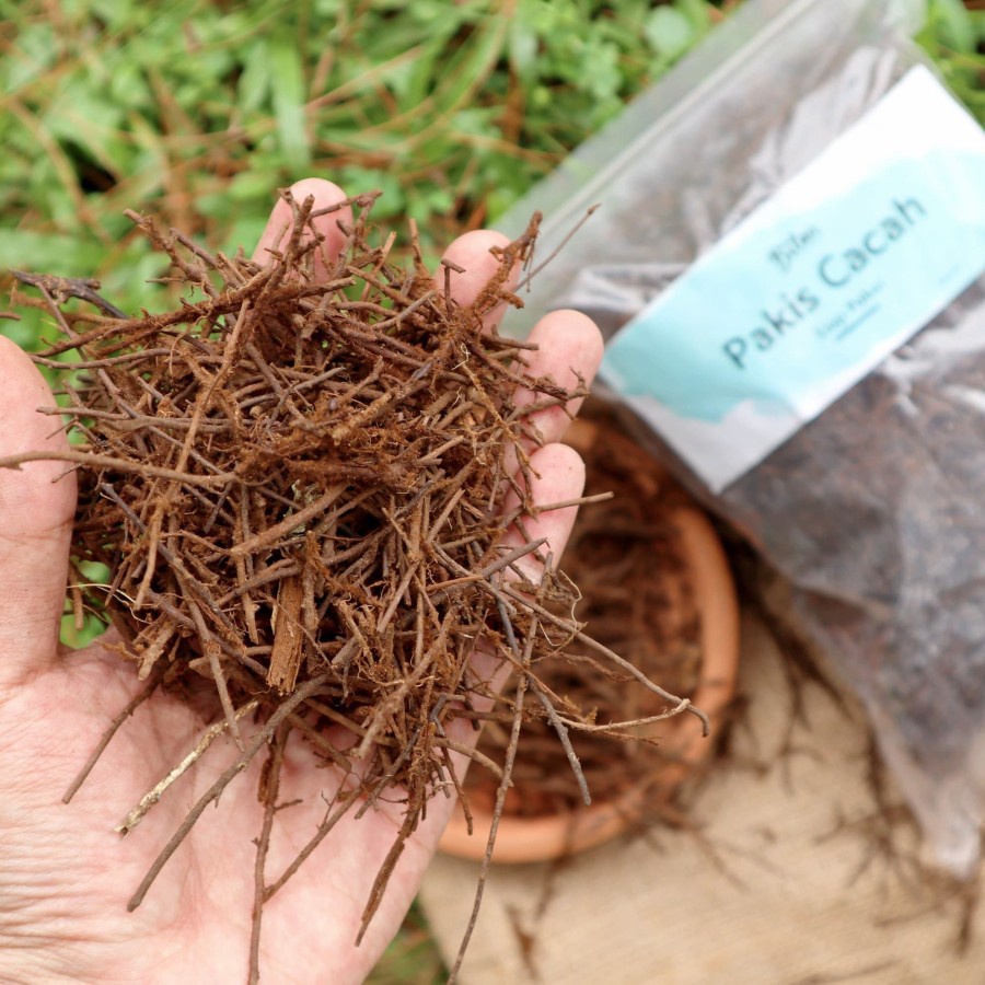 Jual Media Pakis Cacah Campuran Media Tanam Tanaman Hias Anggrek dan ...