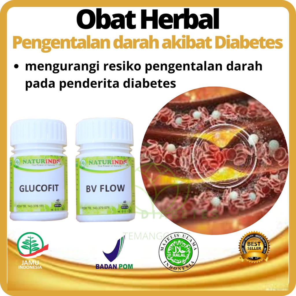 Jual obat diabet pelancar peredaran darah gula darah tinggi pengentalan ...