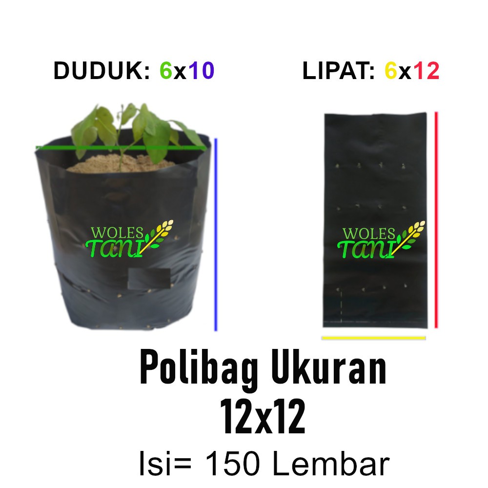 Jual Polibag Polibeg Isi 150 Lembar Ukuran 12x12 | Shopee Indonesia