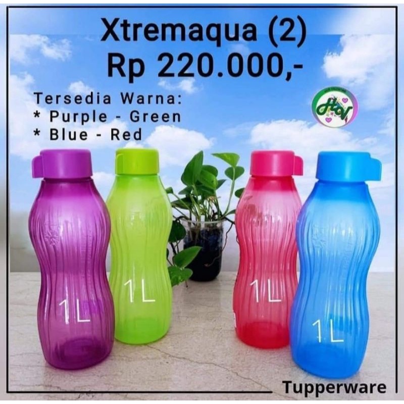 Jual xtremaqua eco botol promo tupperware 800ml | Shopee Indonesia