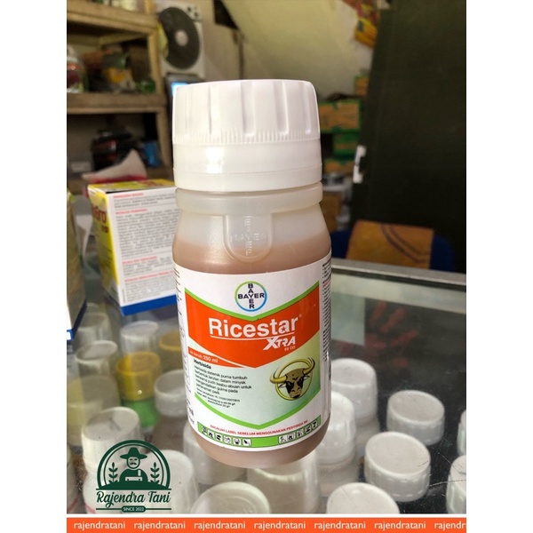 Jual Herbisida RICESTAR 89OD 250ml | Shopee Indonesia