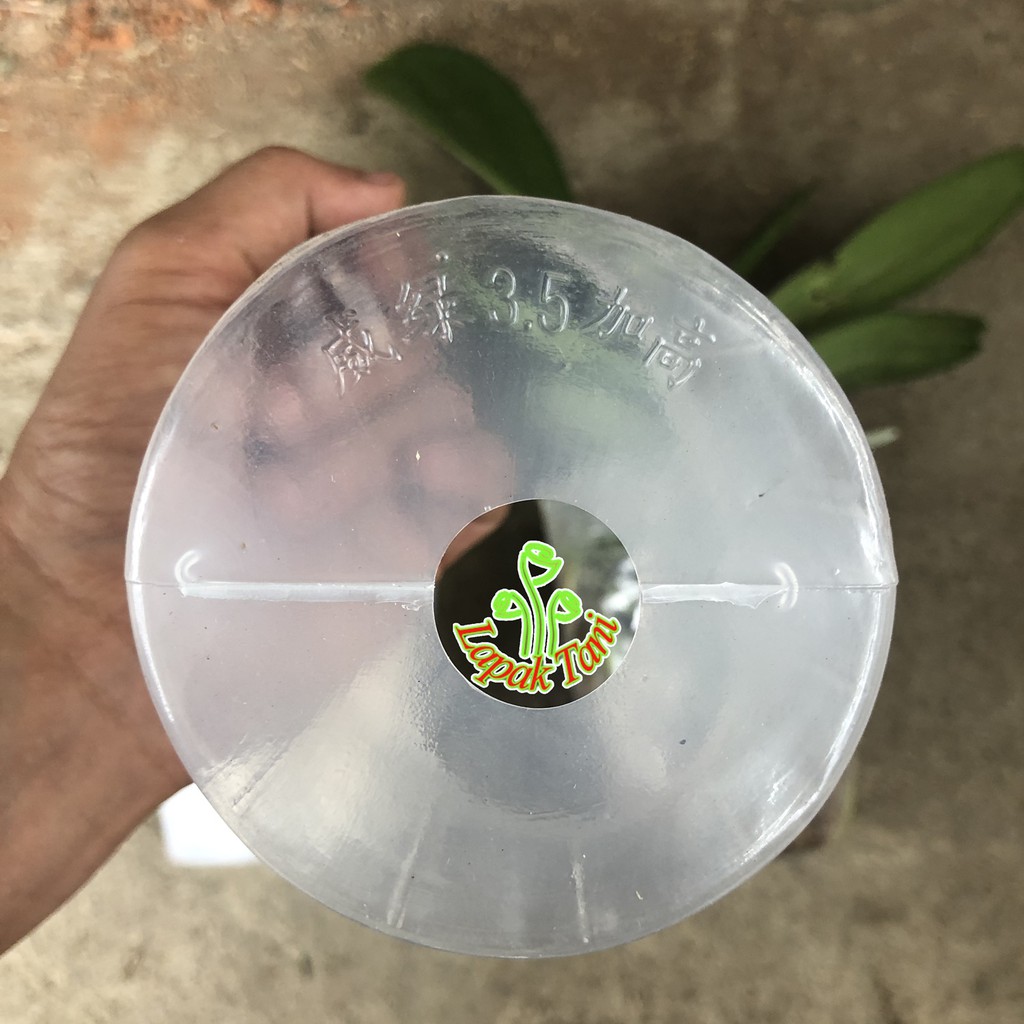 Jual Pot Anggrek / Soft pot anggrek / Fleksibel cup - polypot | Shopee ...