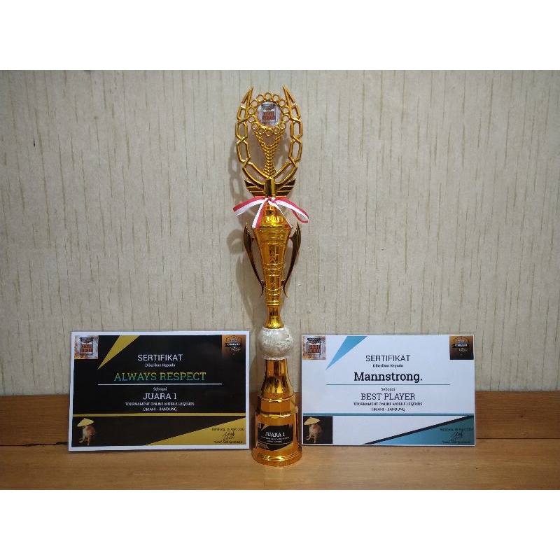 Jual TROPHY/PIALA KEJUARAAN + SERTIFIKAT TEAM DAN BEST PLAYER COCOK ...