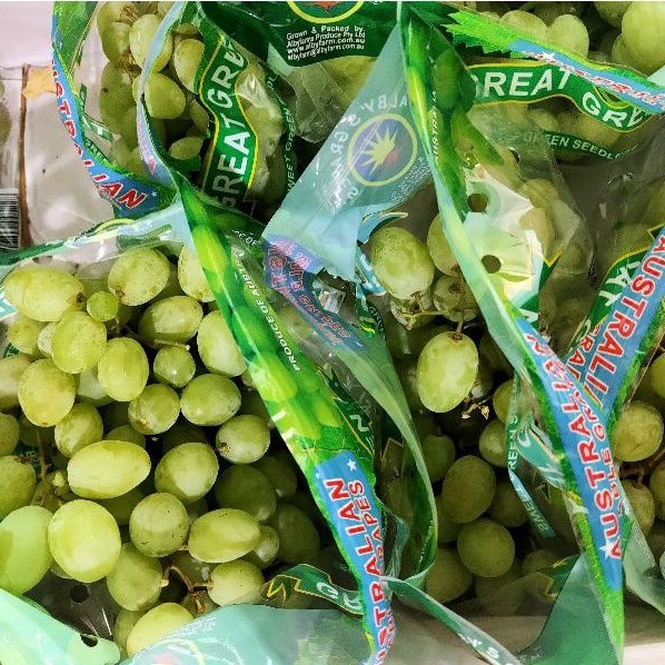Jual Anggur Great Green Seedless Ausi Per kg | Shopee Indonesia