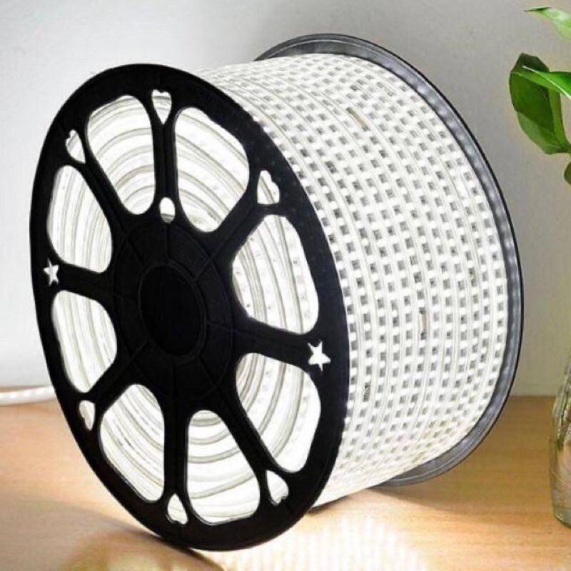 Jual LAMPU LED STRIP SELANG 5050 SMD AC 220V METERAN (1M-100M) OUTDOOR AND INDOOR (LAMPU TIK TOK ...