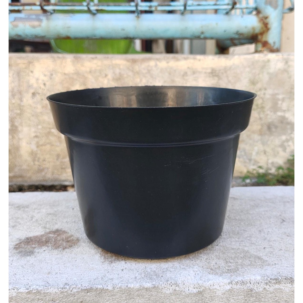 Jual RUPLAS - POT POLOS 20 hitam - pot bibit hitam - pot hitam polos ...