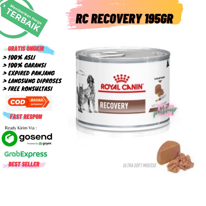 Jual Royal Canin Recovery Can RC Cat Food Kaleng 195gr | Shopee Indonesia