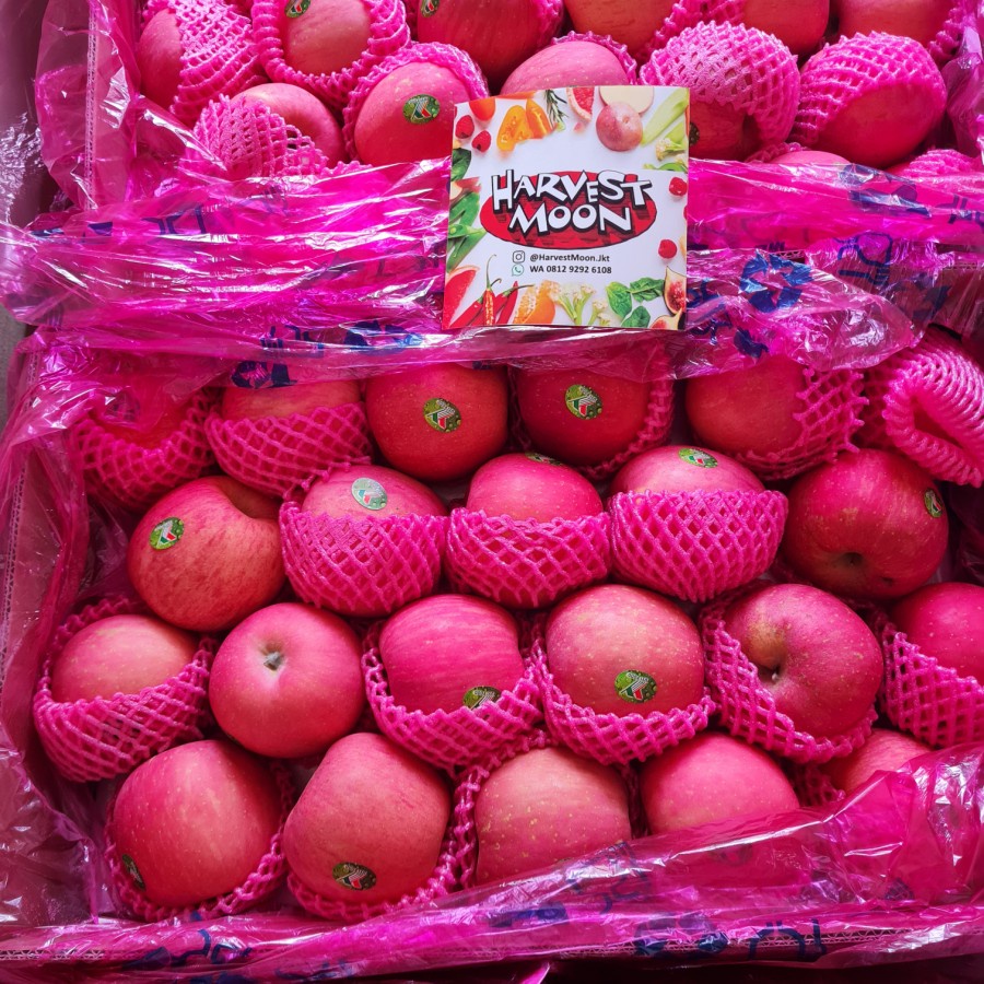 Jual HarvestMoon Apel Fuji RRC Per Dus | Shopee Indonesia