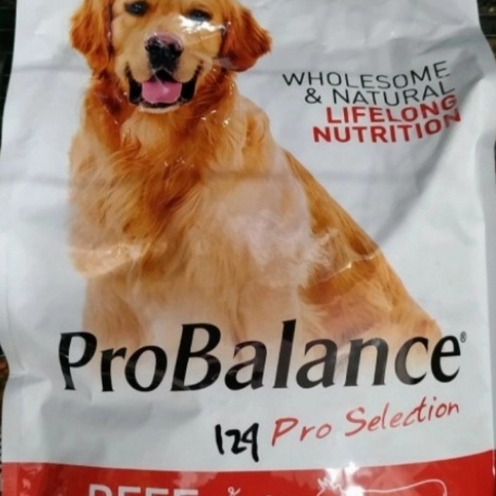 Jual probalance 3.2 kg dog beef flavour | Shopee Indonesia