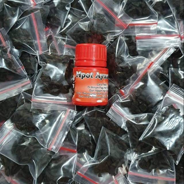Jual Mpot ayam momoidea ecer murah | Shopee Indonesia