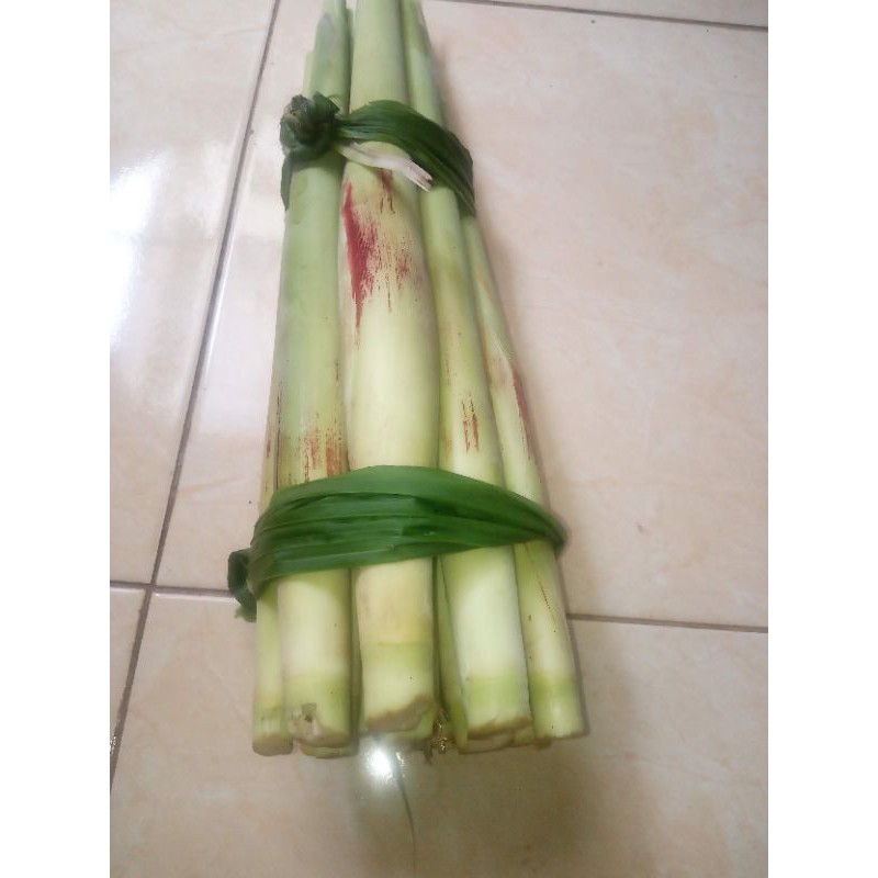 Jual terubuk atau turubuk 500gr | Shopee Indonesia