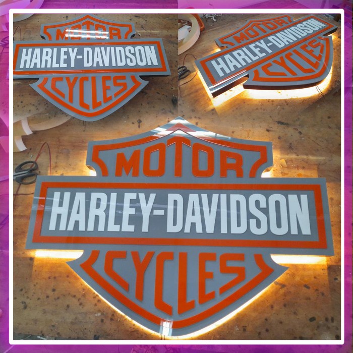 Jual Logo Letter Backlight Custom Design Free Adaptor | Shopee Indonesia
