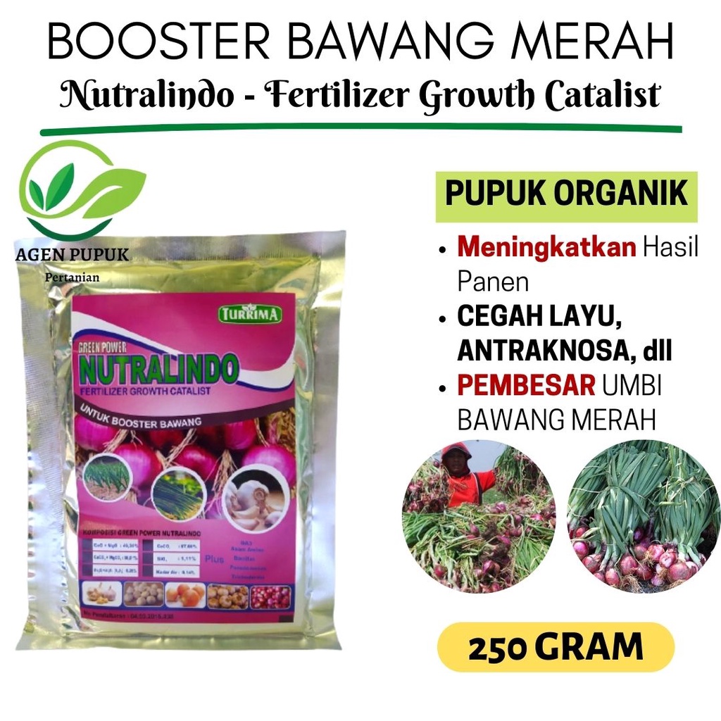 Jual Booster Bawang Merah Perangsang Pembesar Umbi Bawang Merah, Pupuk Bawang Merah Organik ...