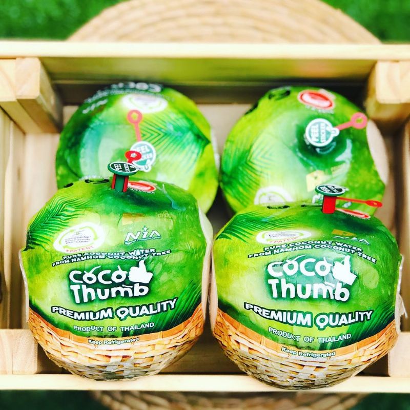 Jual coco thumb 1 pcs / kelapa thailand / kelapa thailand manis wangi ...