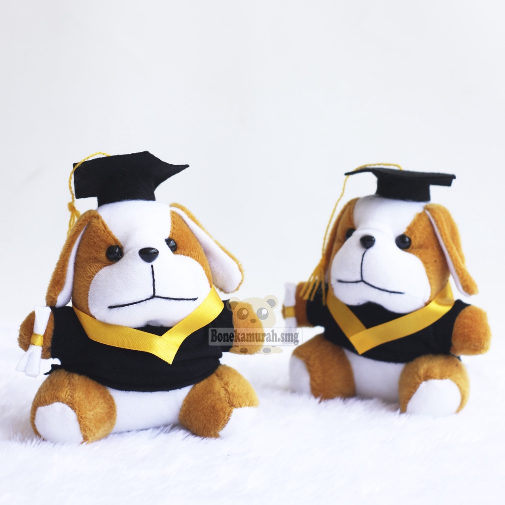 Jual Boneka wisuda toga ukuran 15cm | Shopee Indonesia