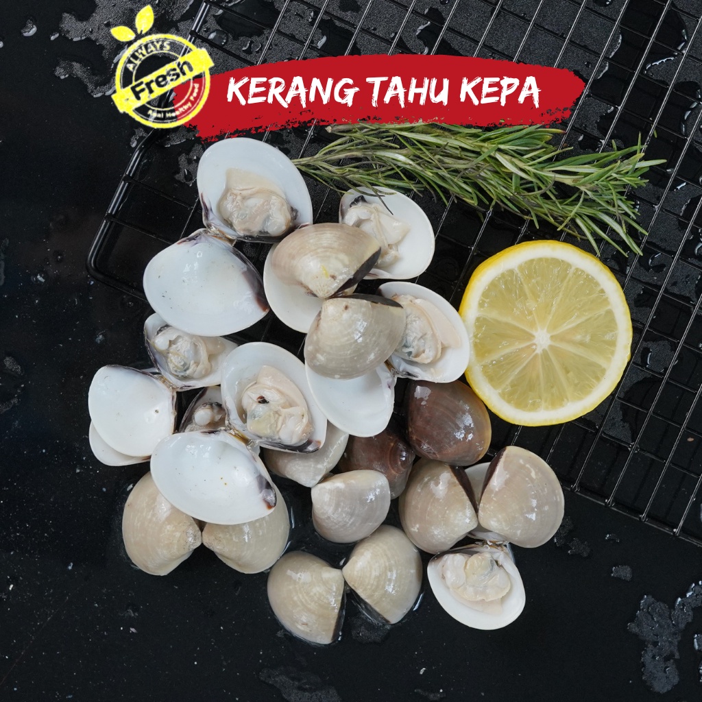 Jual Kerang Tahu Kepah Fresh Frozen Termurah | Shopee Indonesia