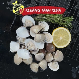 Produk Portal Laut Indonesia | Shopee Indonesia