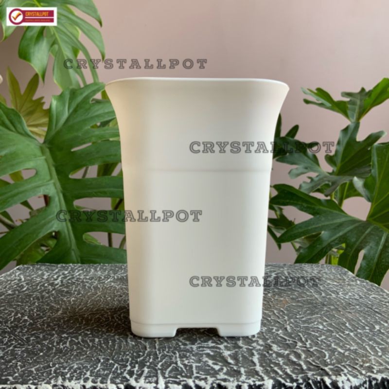 Jual POT BUNGA TANAMAN KOTAK JUOSS 8 PUTIH - NKT KOTAK 8 PUTIH | Shopee ...