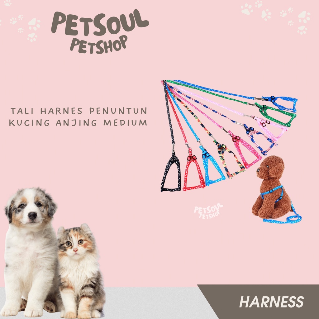 Jual Tali Harness Kucing / Tali Harness Puppy / Tali Harnes Penuntun ...