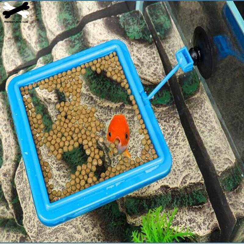 Jual Tempat Makan Ikan Tank Station Floating Food Tray - AFR48 | Shopee ...