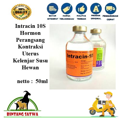 Jual Intracin 10S 50ml Hormon Perangsang Kontraksi Uterus Kelenjar Susu ...