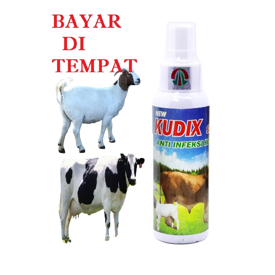 Jual OBAT SEMPROT ANTI KORENG BOROK SAPI KERBAU JAMUR SCABIES KAMBING ...