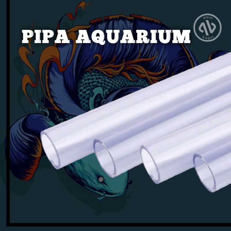 Jual PIPA BENING AKUARIUM 25 CM | Shopee Indonesia