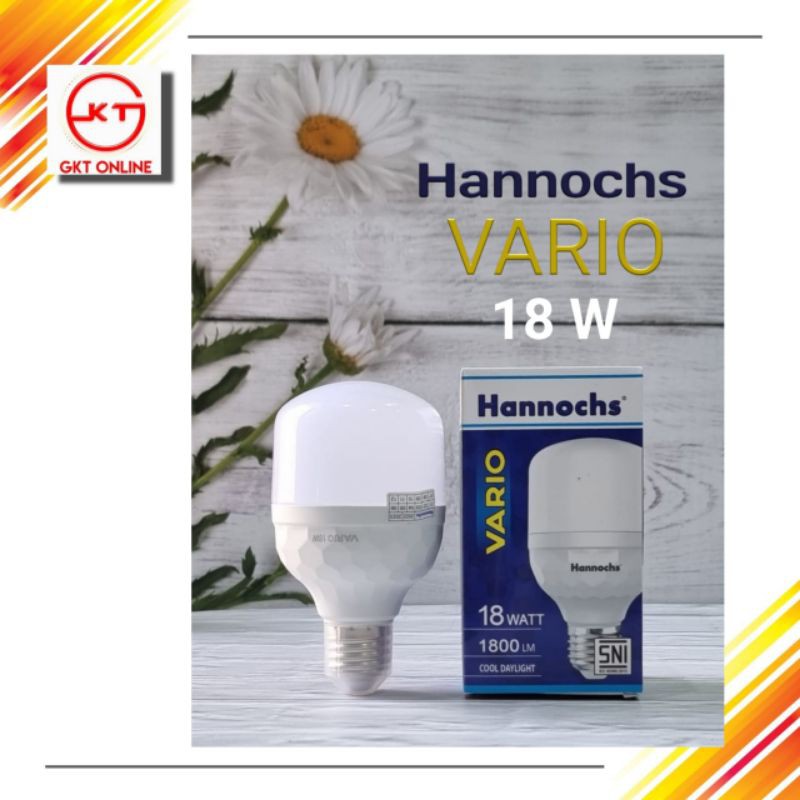 Jual Lampu Bohlam Hannochs LED Vario Cahaya Putih 18 Watt Cool Daylight | Shopee Indonesia