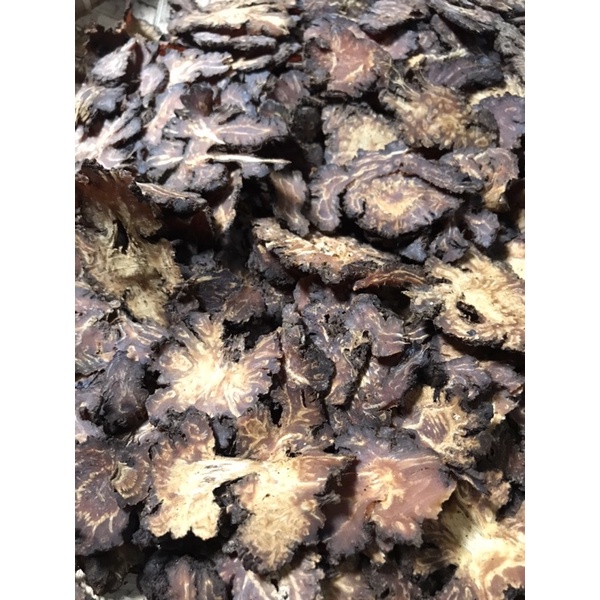 Jual Daun Geganti / Ganti Isi 100 gram | Shopee Indonesia