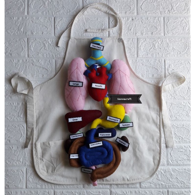 Jual apron human anatomy | Shopee Indonesia