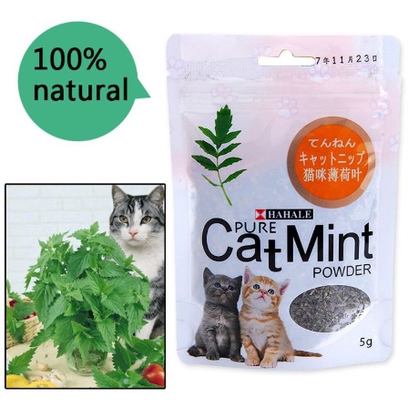 Jual Pure CatMint Powder 5gr Catnip Cat Nip Bubuk 100% Natural Anti ...