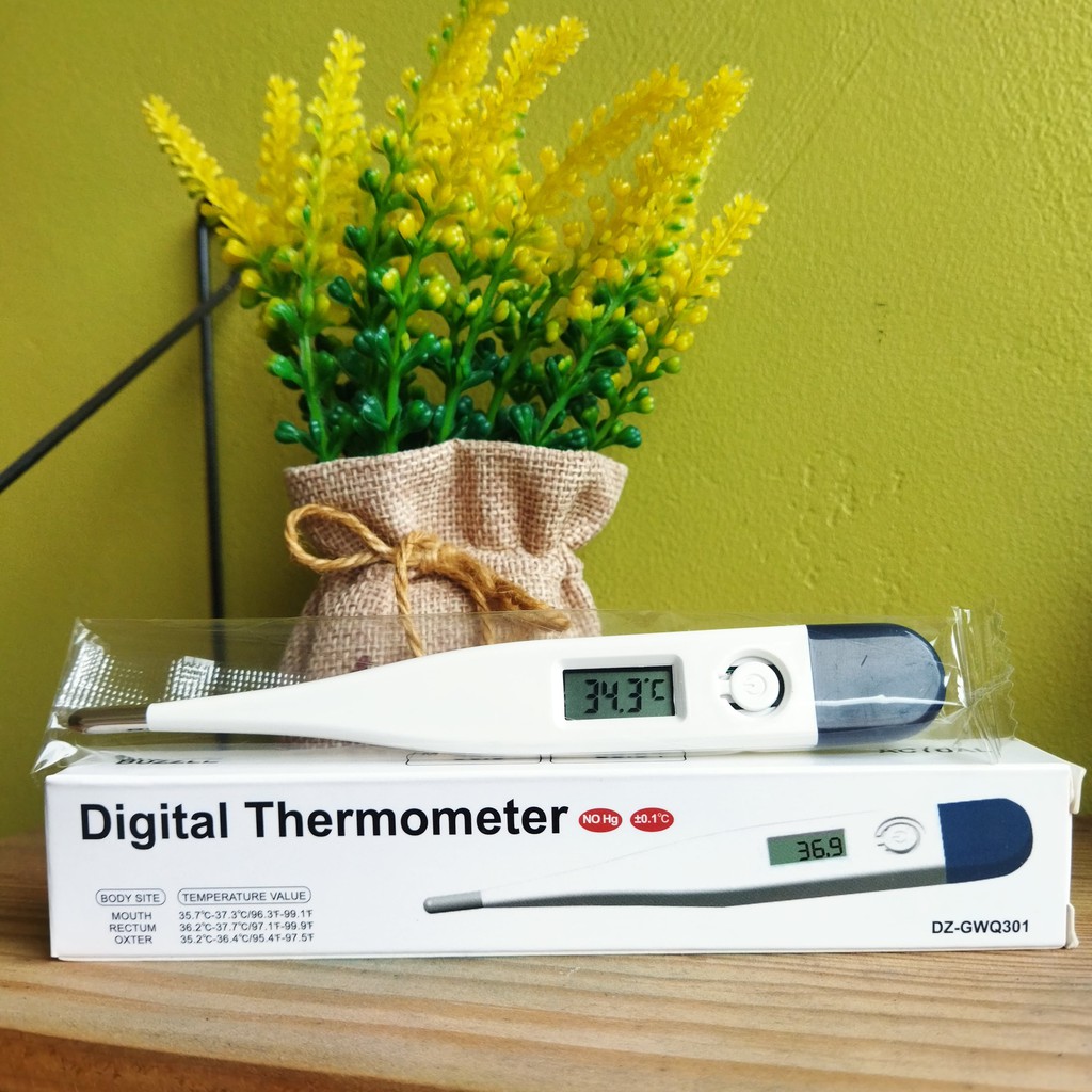 Jual DIGITAL THERMOMETER / ALAT PENGUKUR SUHU BAYI DAN DEWASA ...