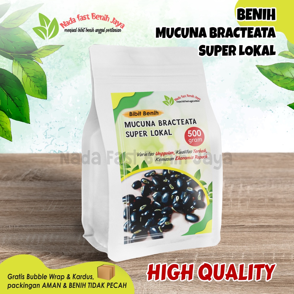 Jual Benih Pilihan Mucuna 500 gram super lokal bibit mucuna bracteata ...