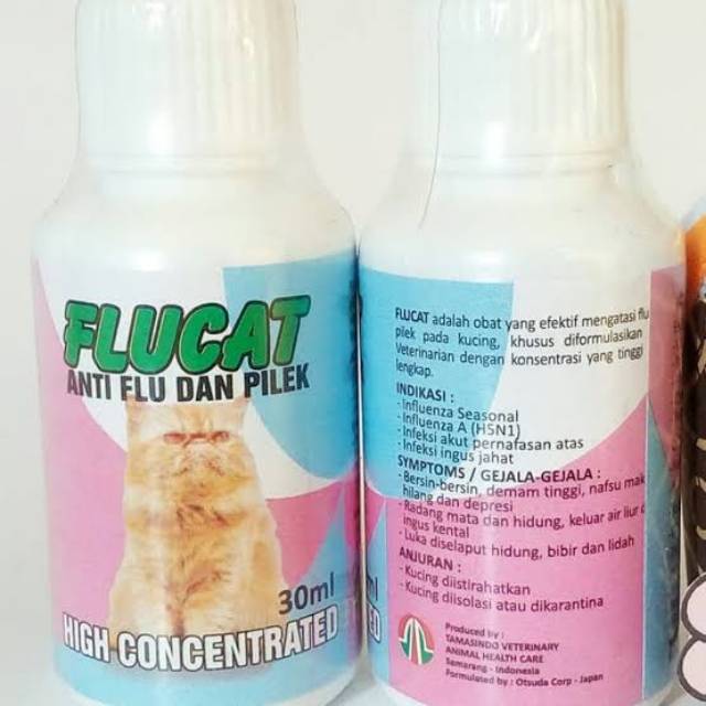 Jual Obat flu cat kucing flucat 30ml | Shopee Indonesia
