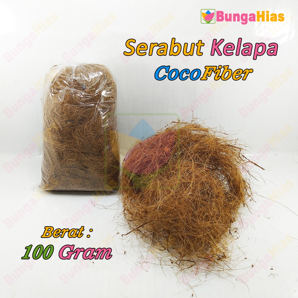 Jual Serabut Kelapa 100 Gram CocoFiber Media Tanam Bunga Anggrek Daun ...