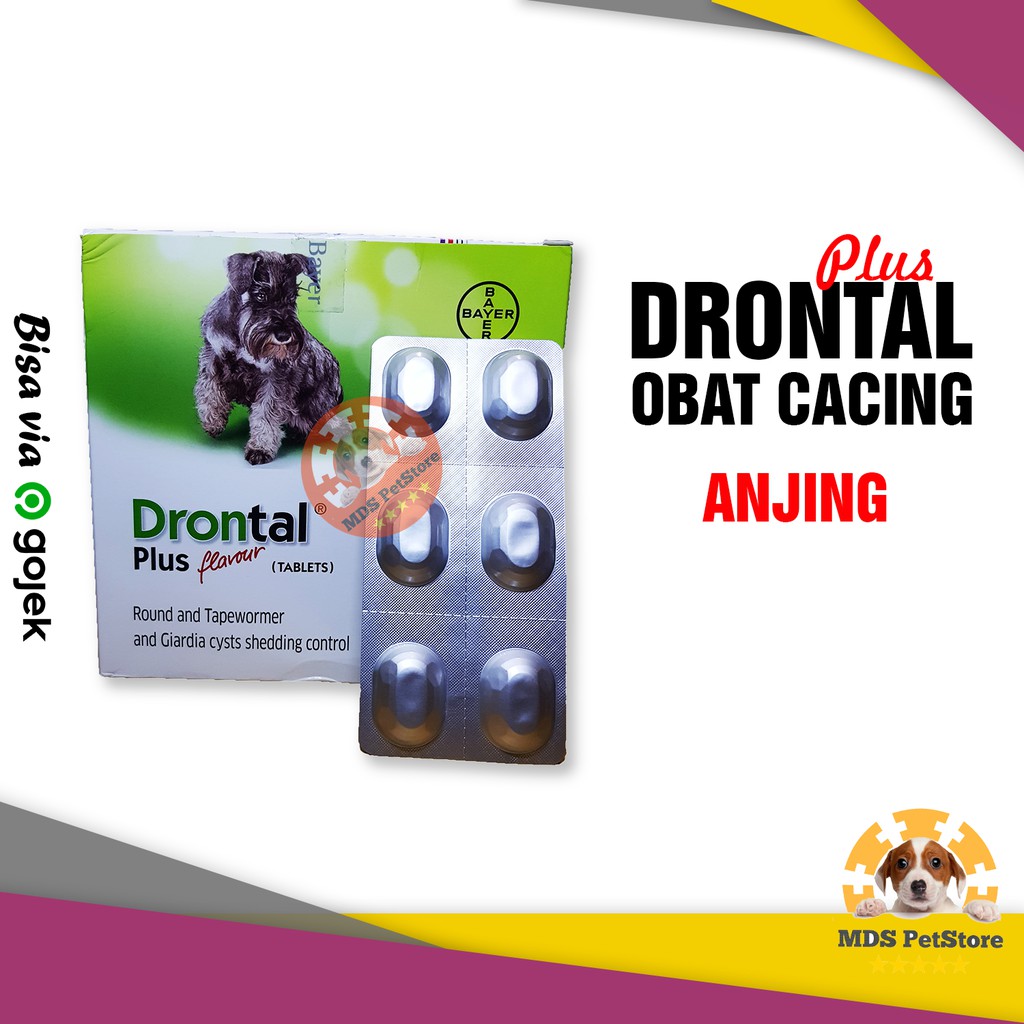 Jual Drontal Plus Dog | obat cacing anjing bayer original | Shopee ...