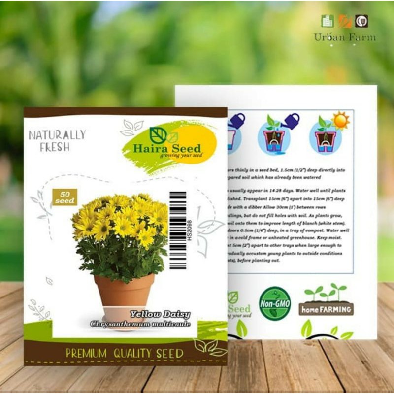 Jual Benih | Bibit Bunga Yellow Daisy (Haira Seed) | Shopee Indonesia