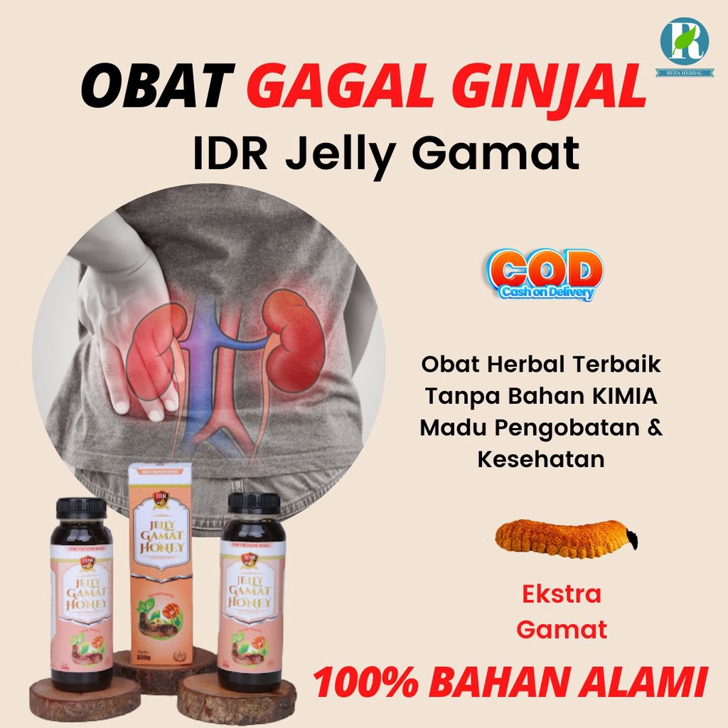 Jual IDR Jelly Gamat Obat Gagal Ginjal // Obat Ginjal Kronis 330 gram ...