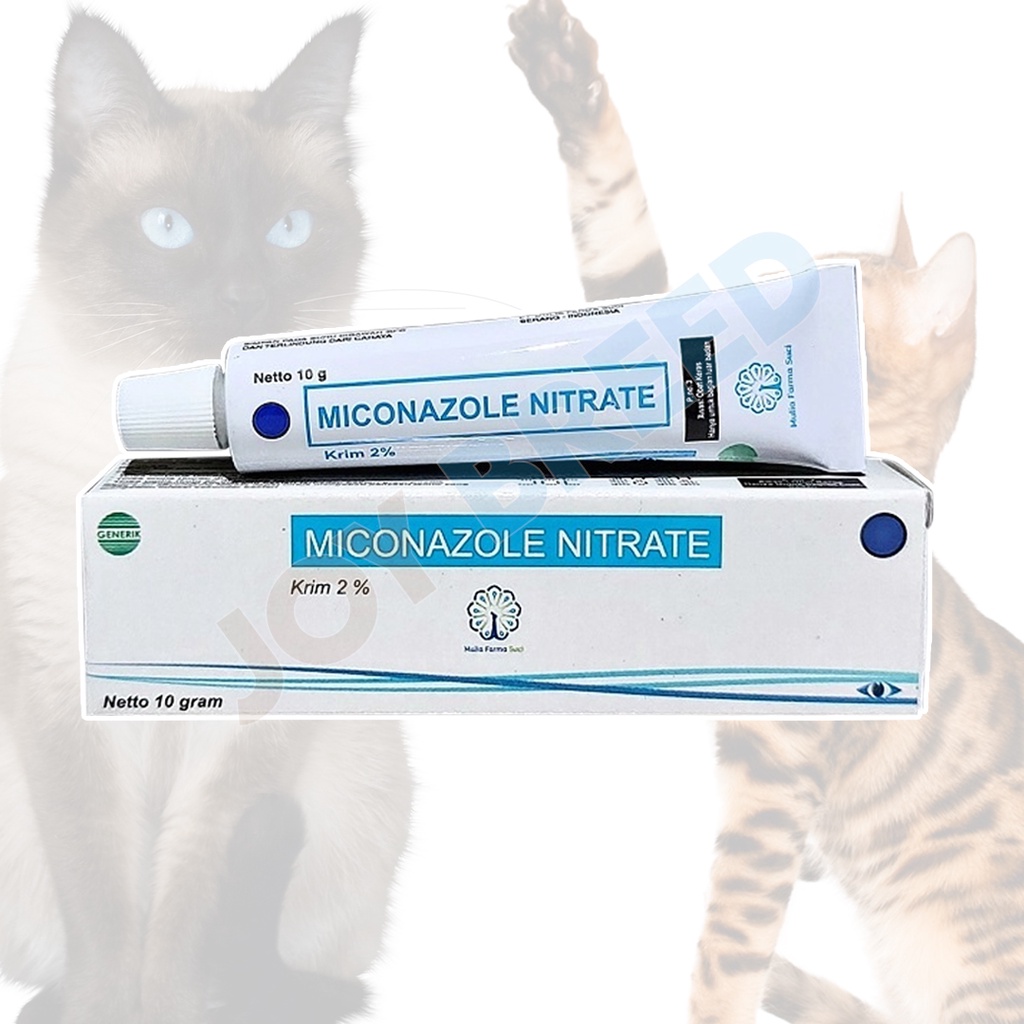 Jual OBAT JAMUR KUCING MICONAZOLE NITRATE 2% CREAM SALEP ANTI JAMUR ...