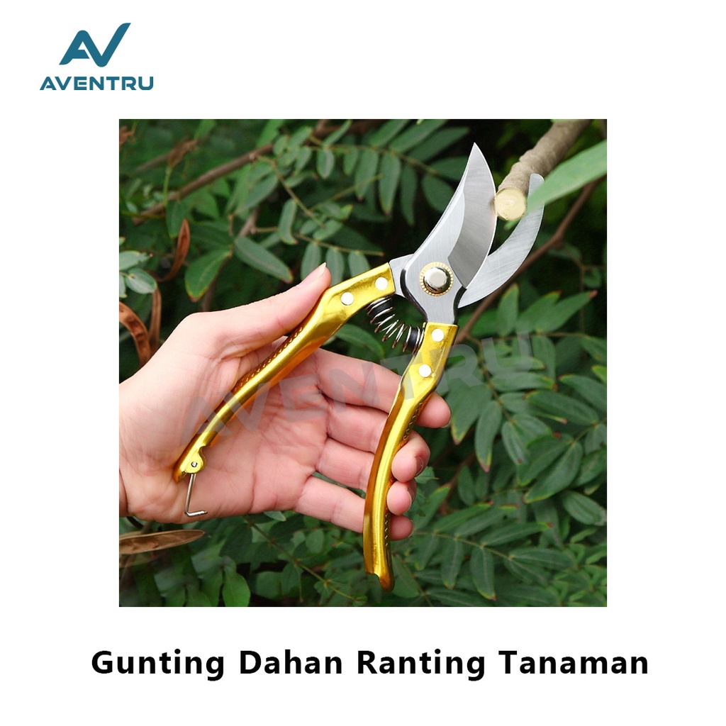 Jual Gunting Dahan Ranting Stek Batang Tanaman Bunga Pohon Pruning Tool ...