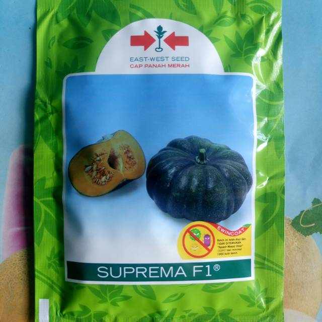 Jual Benih labu SUPREMA F1 isi 225 Biji | Shopee Indonesia